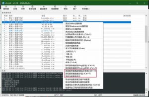 v2rayNG 如何测试服务器状态-GoWall