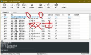 v2rayNG windows下如何使用教程-GoWall