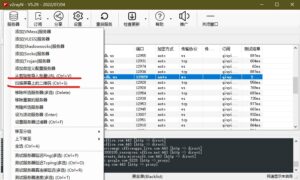 v2rayNG windows下如何使用教程-GoWall