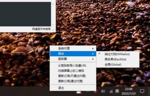 v2rayNG windows下如何使用教程-GoWall